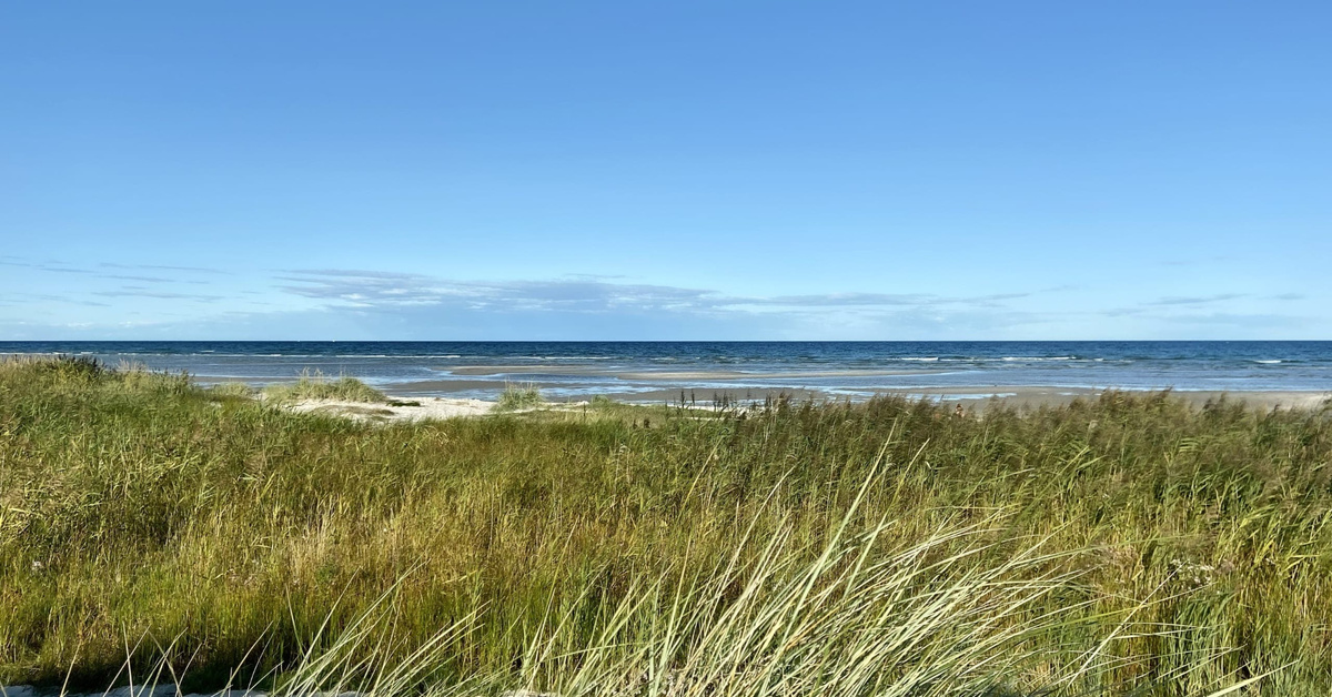 Neos 8.2 released - Blog - Neos.io