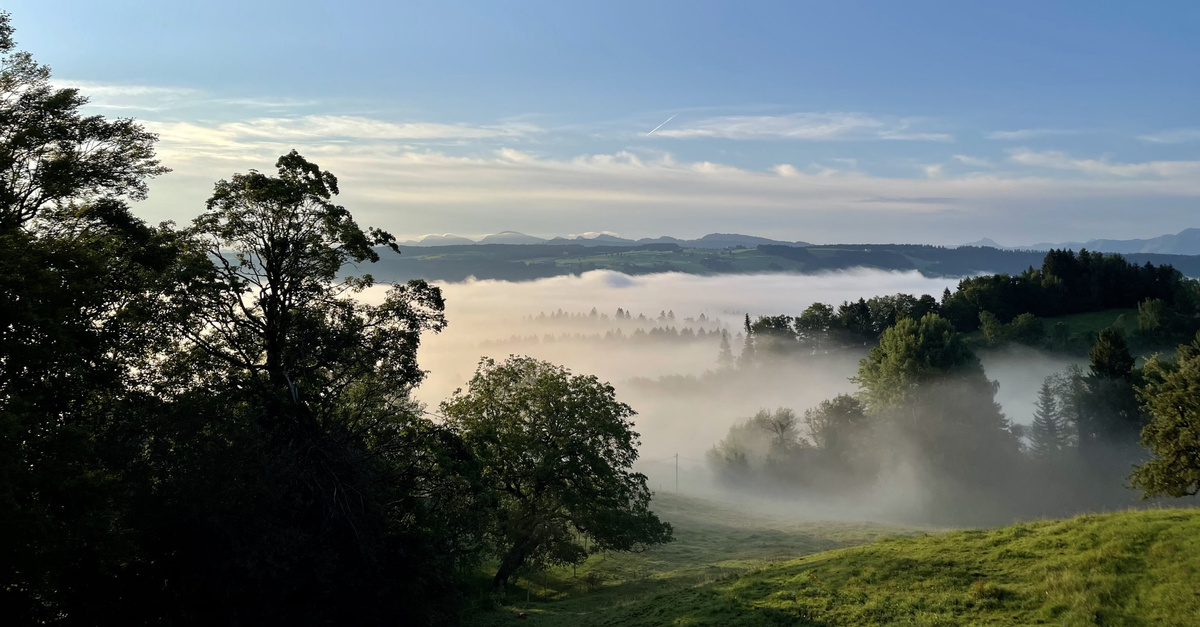 Neos 8.0 "Mad Hatter" released - Blog - Neos.io